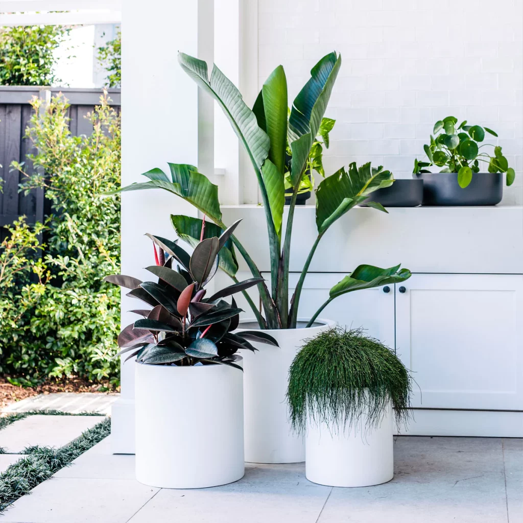 Decoração com Vaso Branco Para Ambientes / Modelos e Dicas Incríveis ...